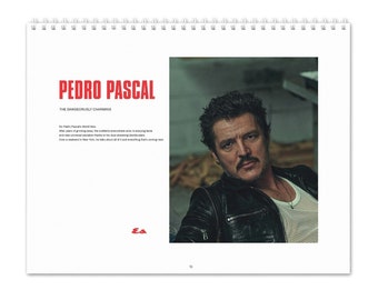 Sebastian Stan Dives Deep 2025 Wall Calendar, Celebrity Wall Calendar ...