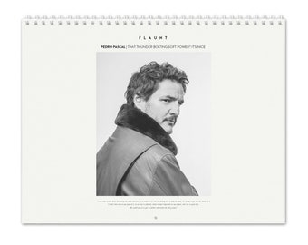 Sebastian Stan Dives Deep 2025 Wall Calendar, Celebrity Wall Calendar ...