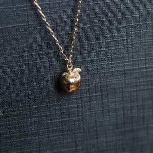 Golden Apple Necklace - Apple Charm Necklace. Apple of My Eye. Fruit of ...