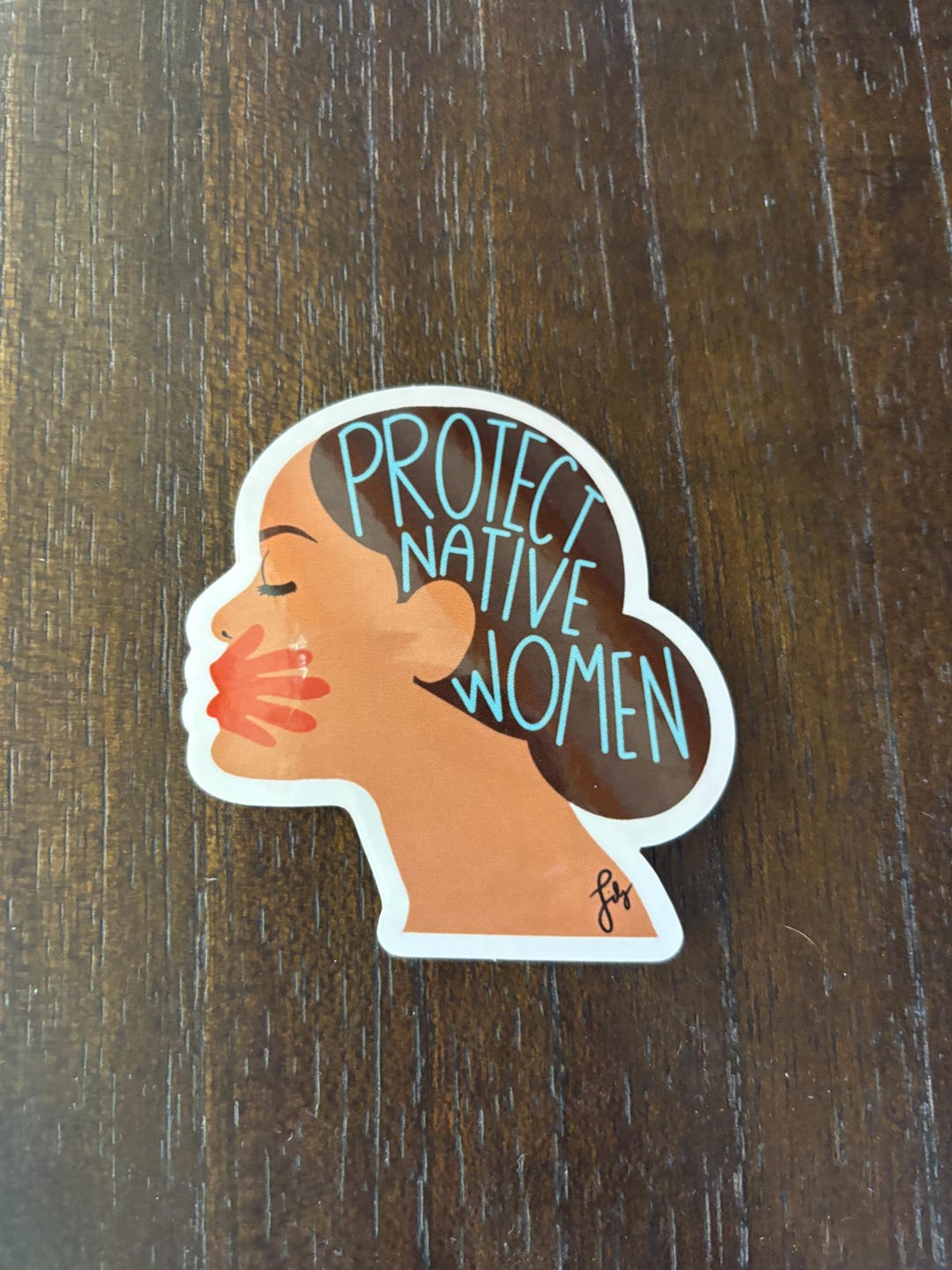 Protect Native Women Sticker - Etsy