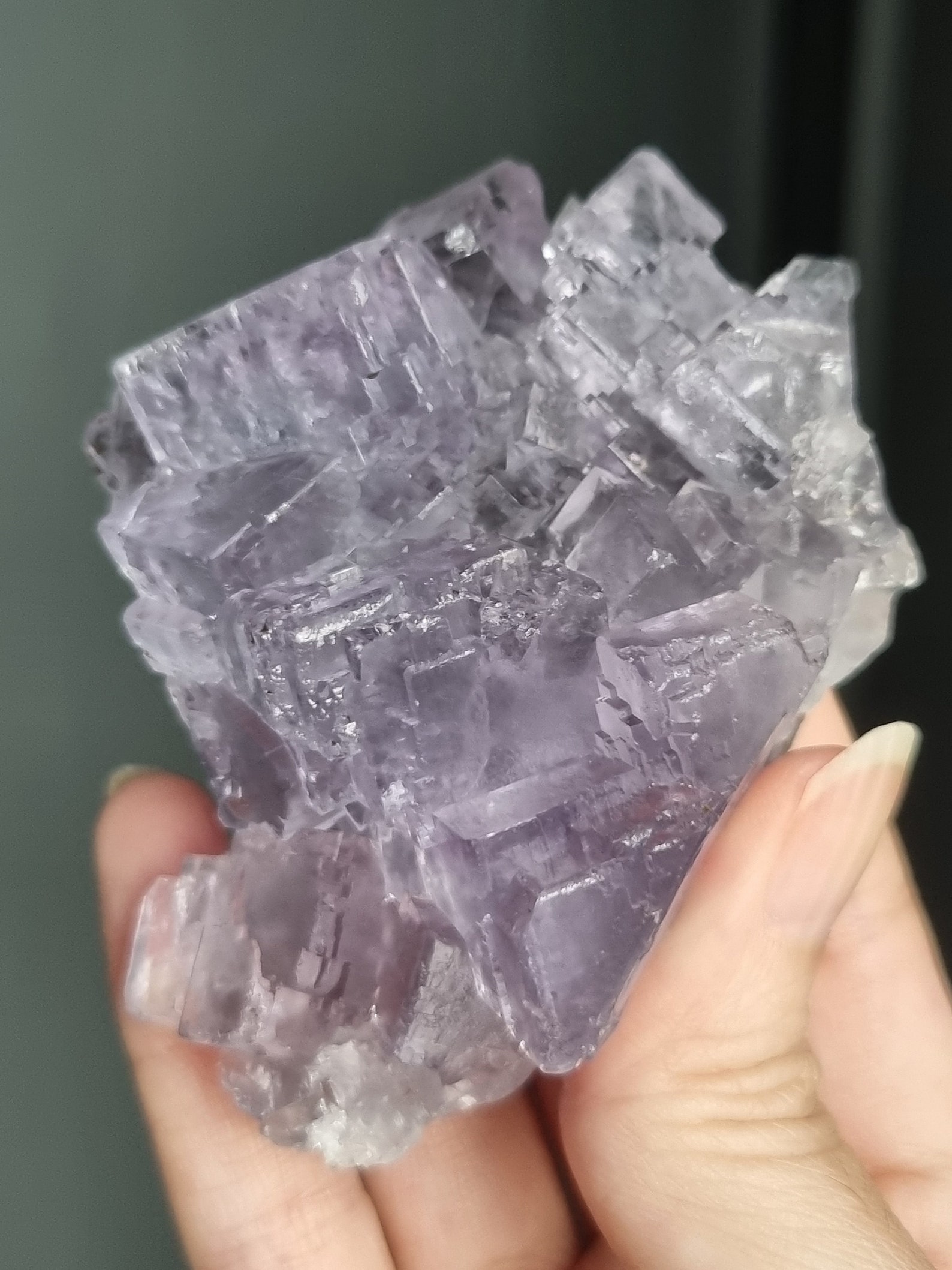 La Viesca Fluorite, Asturias, Spain, Glassy Purple Blue Fluorite ...