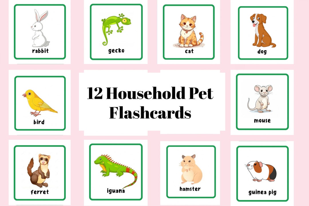 Household Pets Sight Word Flashcards Kindergarten, Elementary School ...