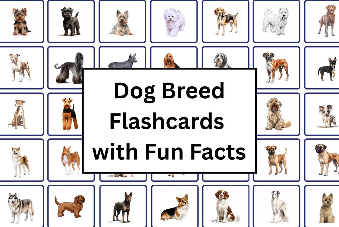 Dog Fun Fact Flashcards | Learn 120+ Different Dog Breeds | Dog Fun ...