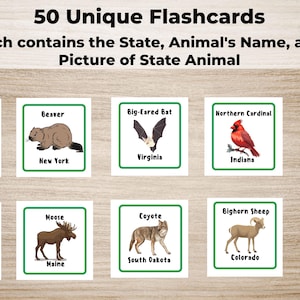 50 US State Animal Flashcards | Learn the Animals of the United States ...