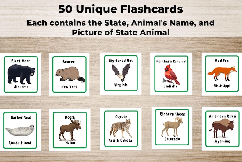 50 US State Animal Flashcards | Learn the Animals of the United States ...