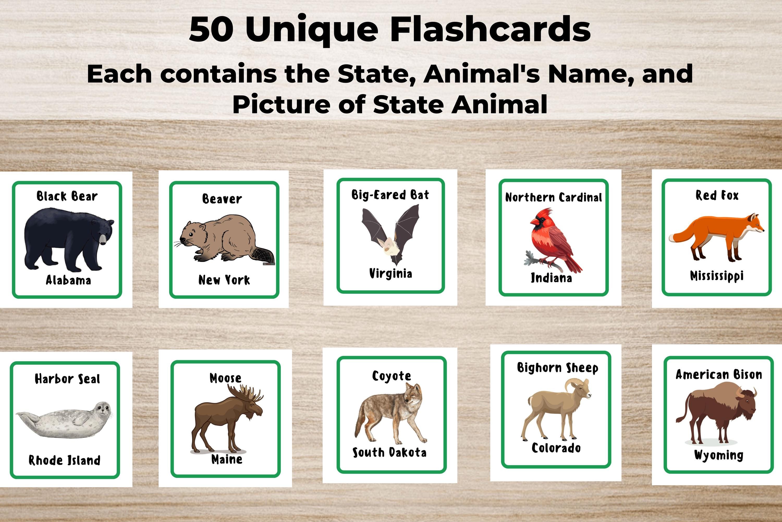 50 US State Animal Flashcards | Learn the Animals of the United States ...