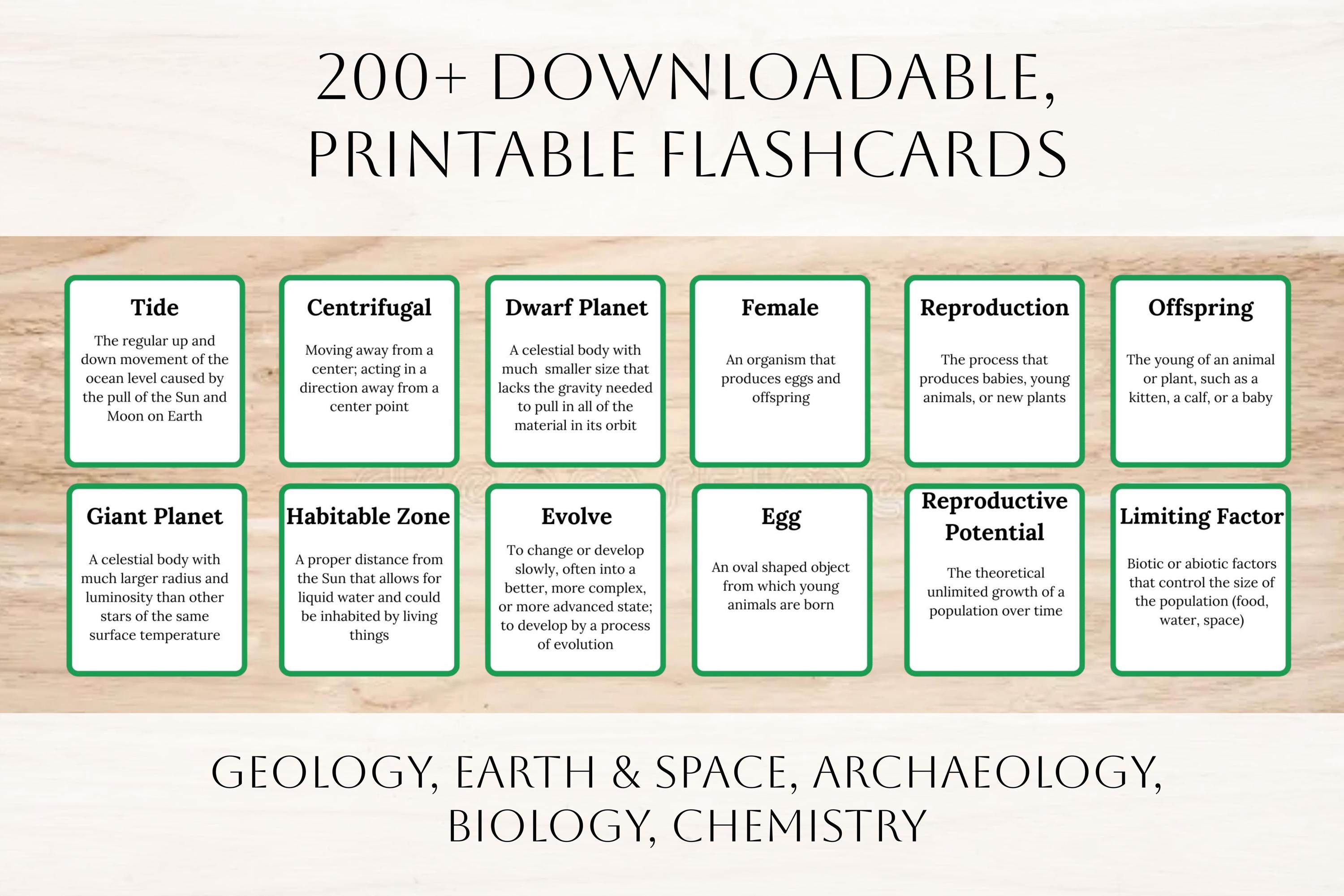 Middle School Science Vocabulary Flashcards | Geology, Archaeology ...