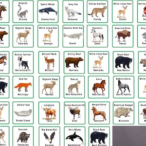 50 US State Animal Flashcards | Learn the Animals of the United States ...