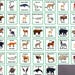 50 US State Animal Flashcards | Learn the Animals of the United States ...