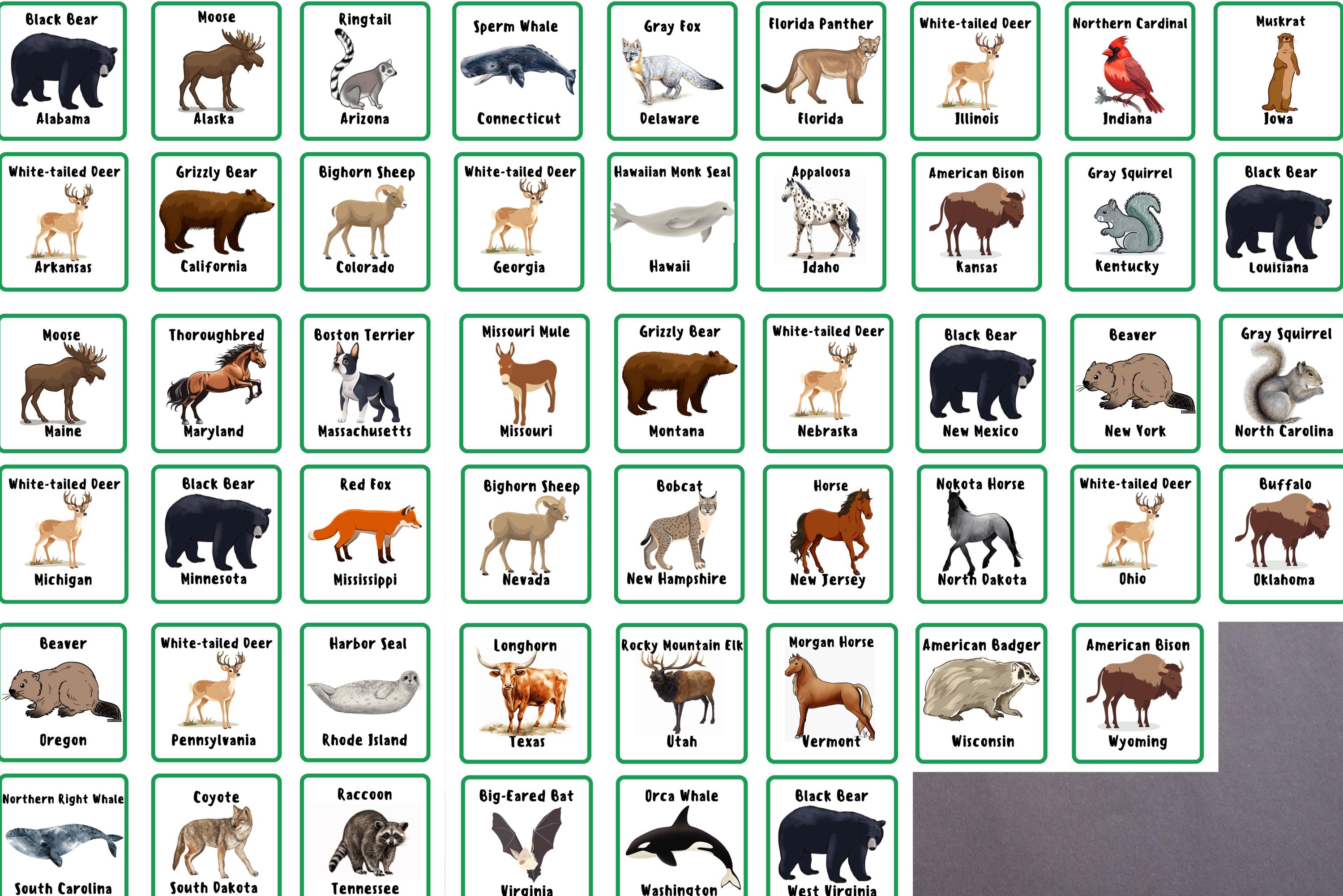 50 US State Animal Flashcards | Learn the Animals of the United States ...