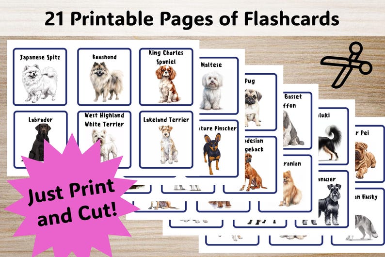 120+ Dog Breed Flashcards | Learn the Dog Breeds of the World | Dog Fun ...