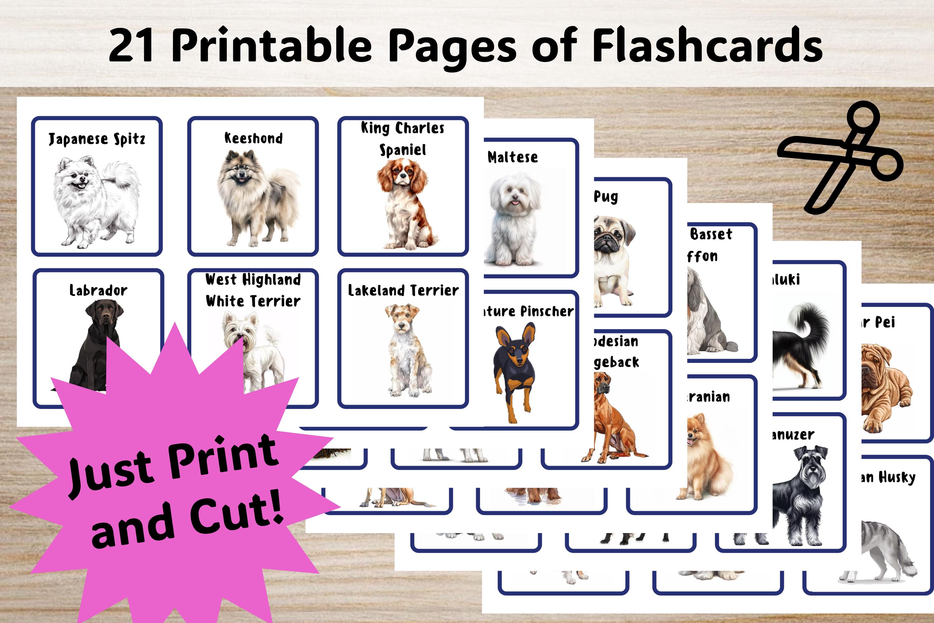 120+ Dog Breed Flashcards | Learn the Dog Breeds of the World | Dog Fun ...