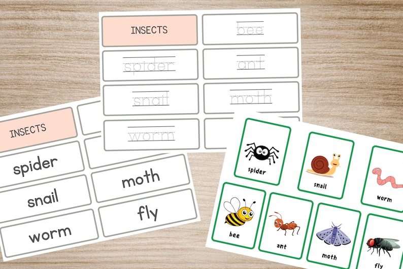 Sight Word Workbook: K-3 Spelling & Vocabulary (digital Download) - Etsy