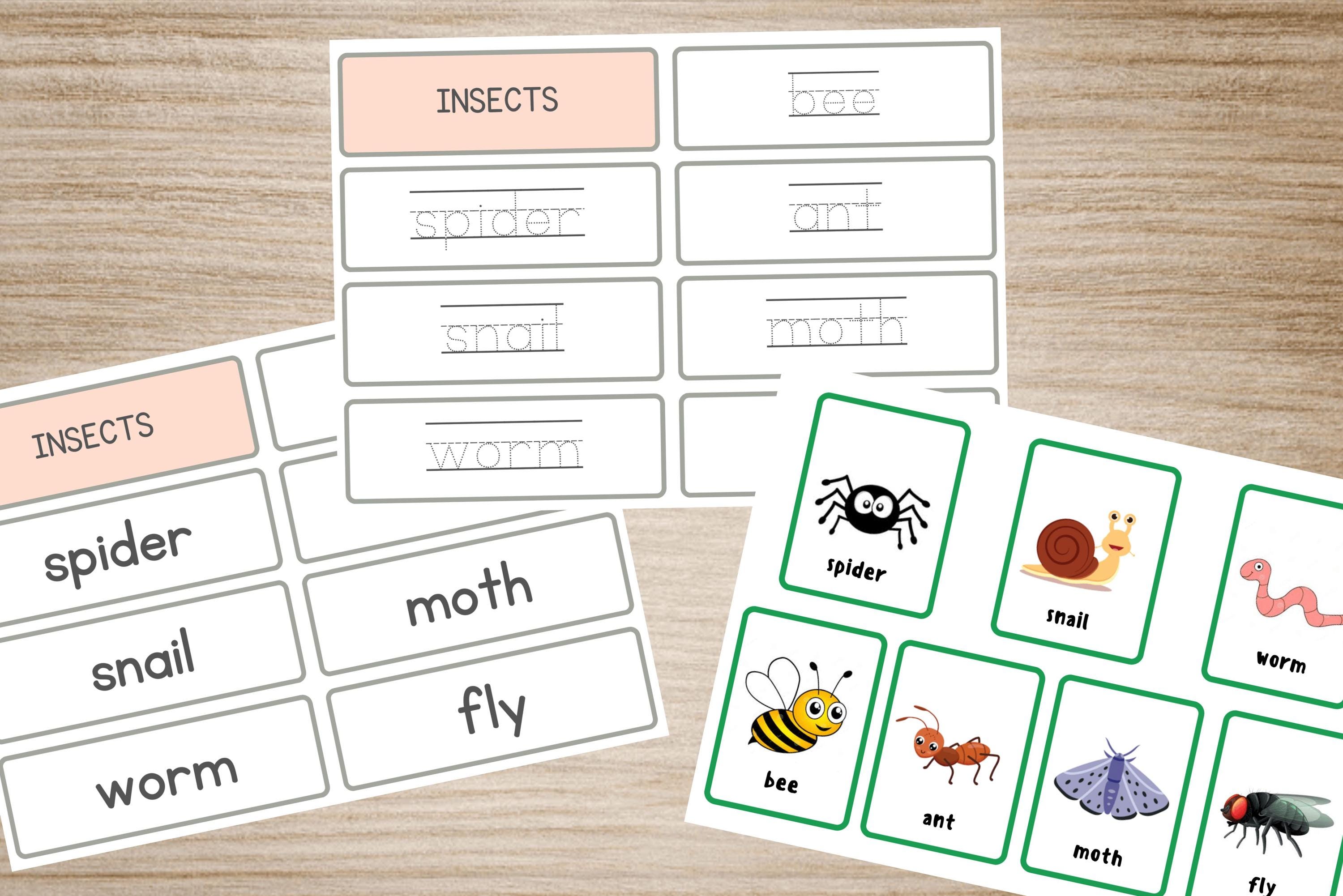 50 Page Sight Word Activity Pack 1st Grade Sight Words 2nd Grade Sight ...