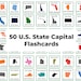 50 US State Animal Flashcards Learn the Animals of the United States of ...