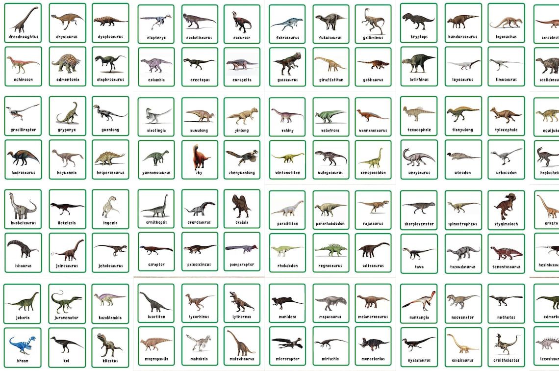 200+ Dinosaur Flashcards | Learn the Dinosaurs | Picture/word ...