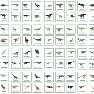200+ Dinosaur Flashcards | Learn the Dinosaurs | Picture/word ...