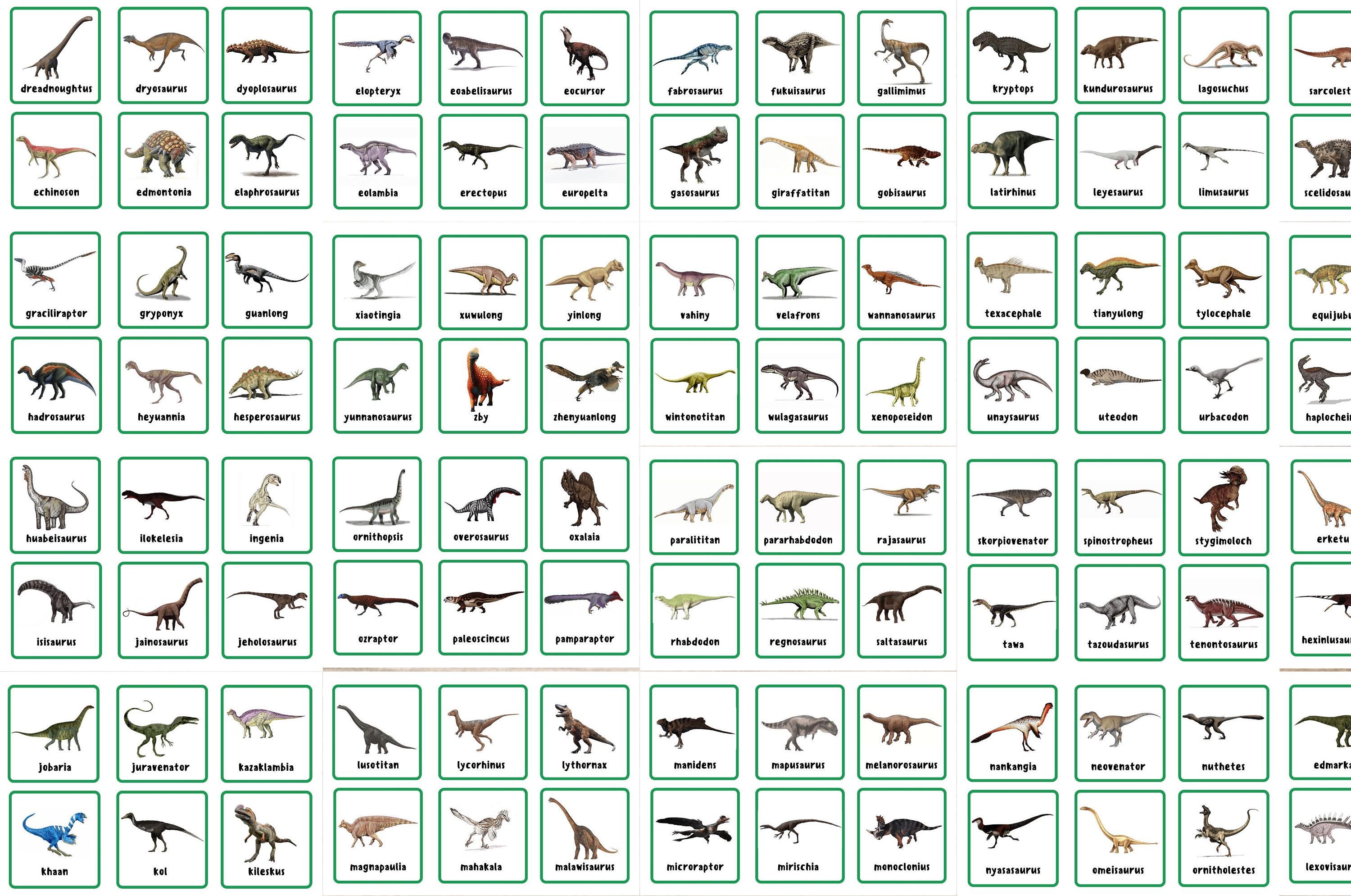 200+ Dinosaur Flashcards | Learn the Dinosaurs | Picture/word ...