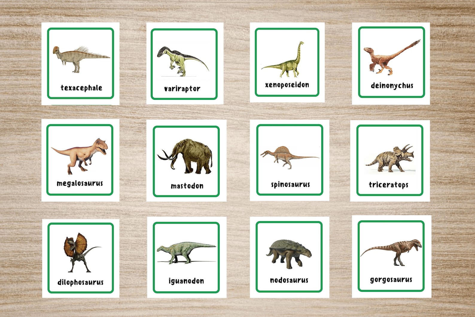 200+ Dinosaur Flashcards | Learn the Dinosaurs | Picture/word ...