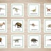 200+ Dinosaur Flashcards | Learn the Dinosaurs | Picture/word ...