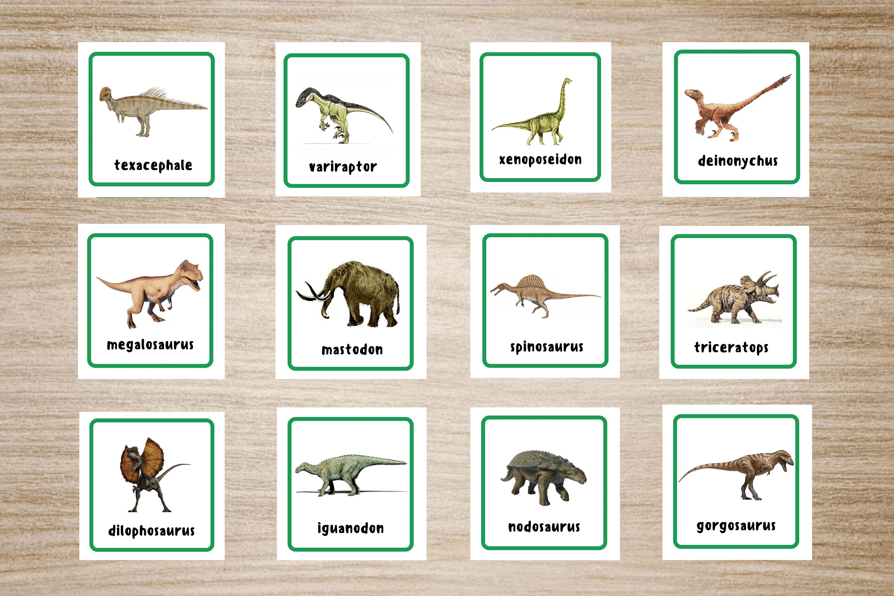 200+ Dinosaur Flashcards | Learn the Dinosaurs | Picture/word ...