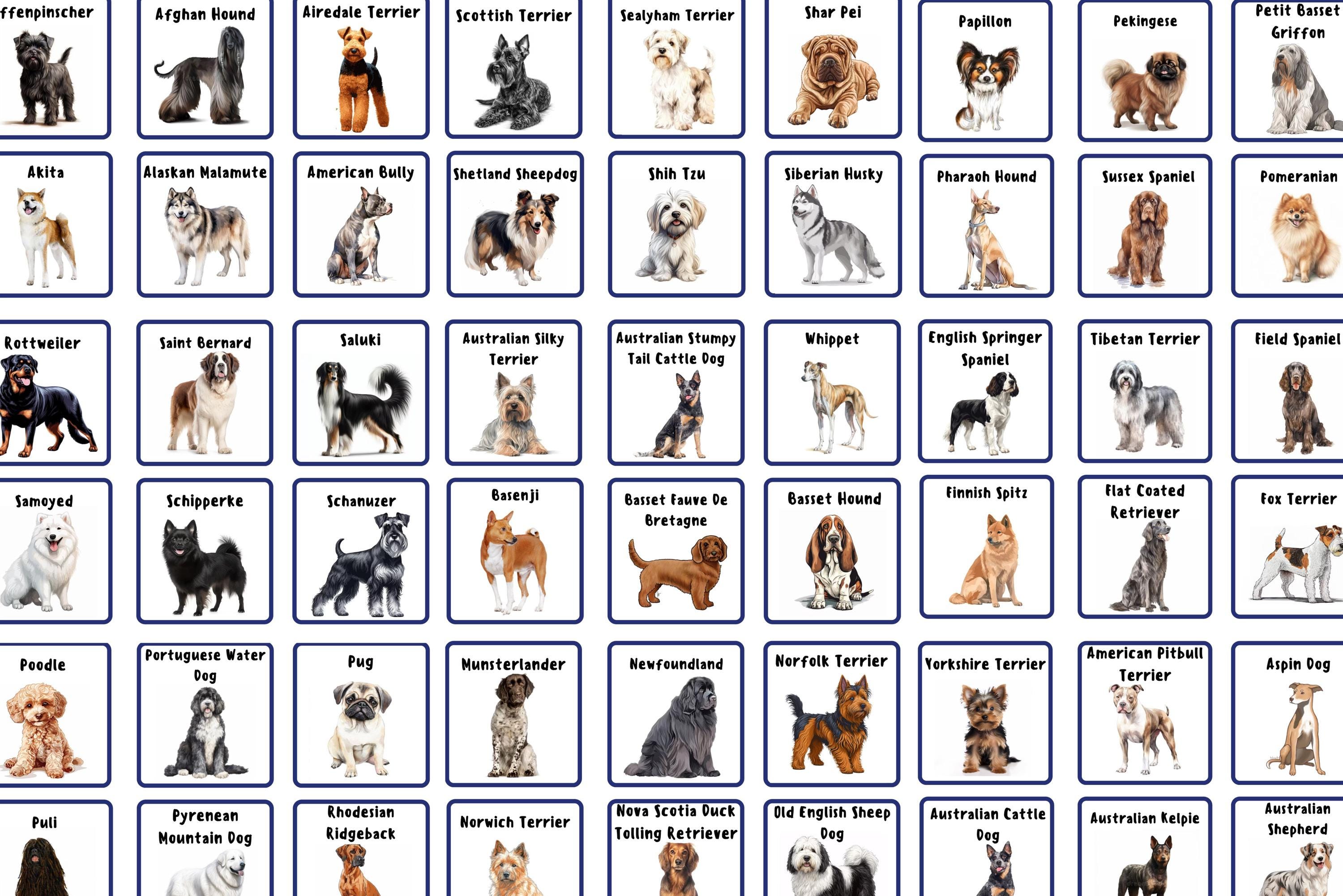 120+ Dog Breed Flashcards | Learn the Dog Breeds of the World | Dog Fun ...