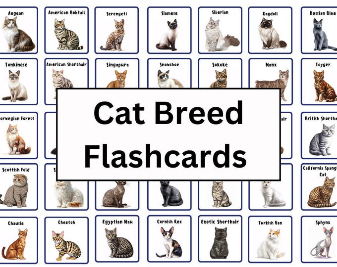Cat Breed Flashcards | 45 Different Cat Breeds to Learn About | Cat Fun ...