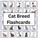 Cat Breed Flashcards | 45 Different Cat Breeds to Learn About | Cat Fun ...