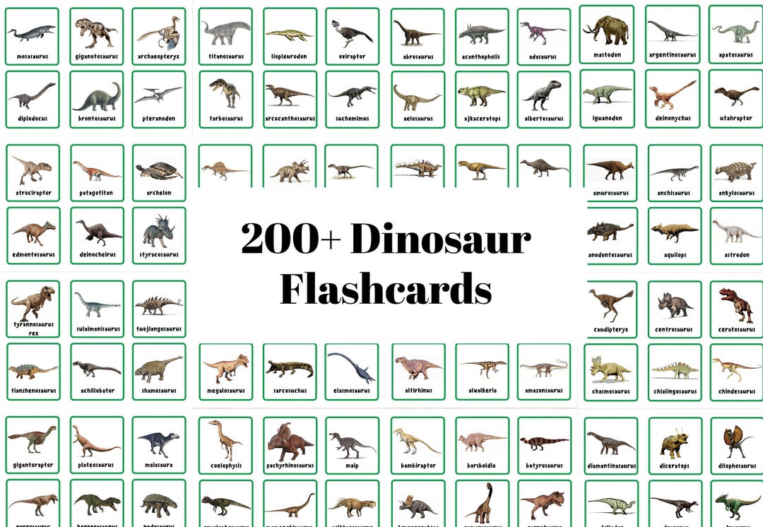 200+ Dinosaur Flashcards | Learn the Dinosaurs | Picture/word ...