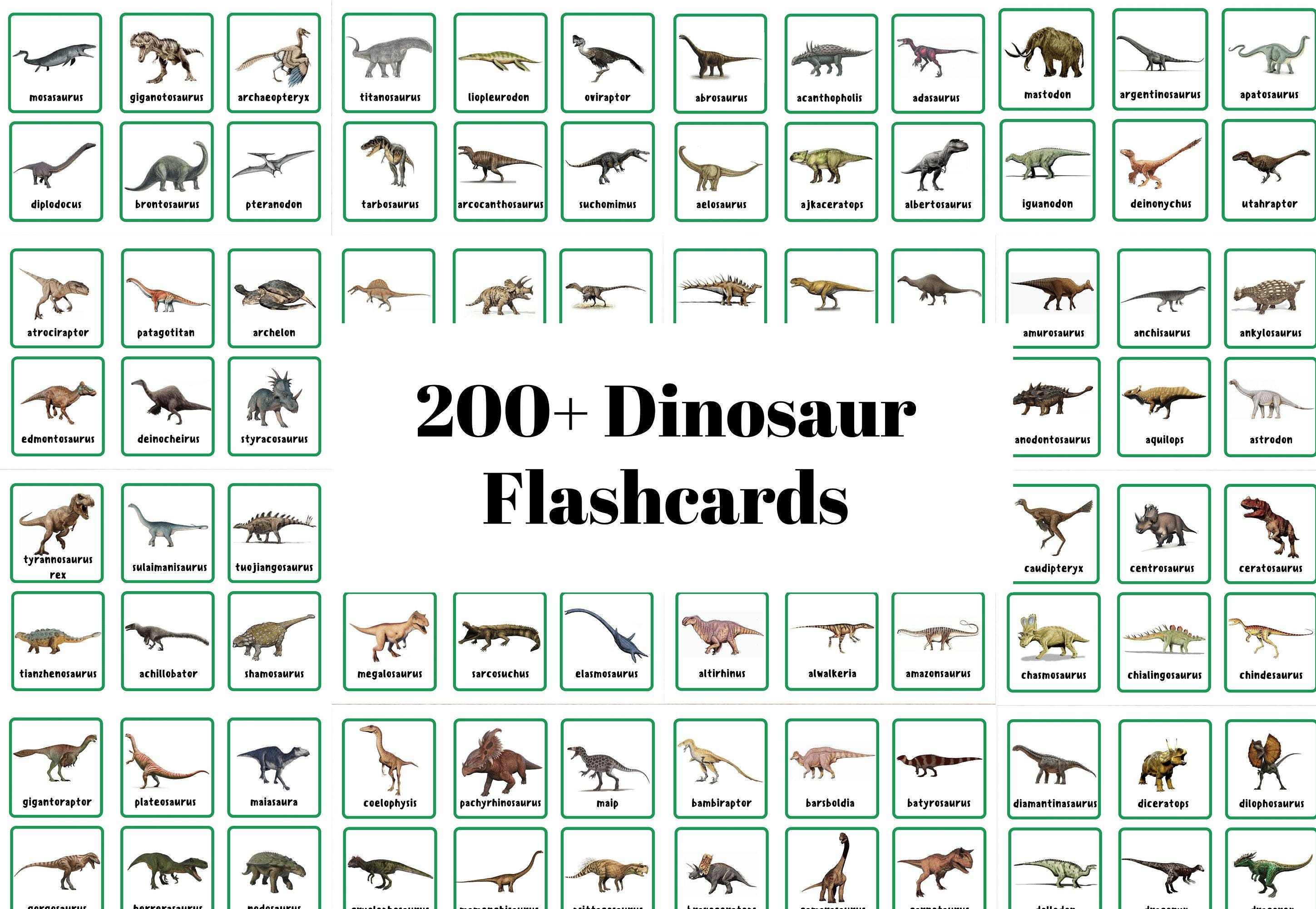 200+ Dinosaur Flashcards | Learn the Dinosaurs | Picture/word ...