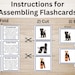 Dog Fun Fact Flashcards | Learn 120+ Different Dog Breeds | Dog Fun ...