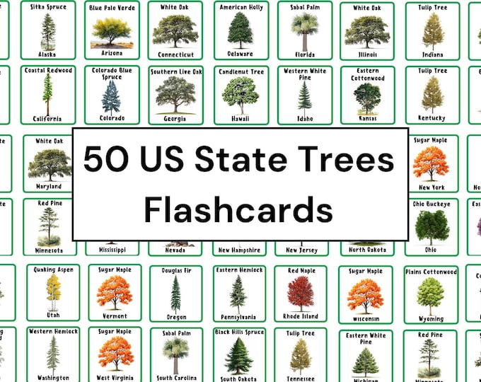 50 US State Tree Flashcards | Learn the Trees of the United States of ...