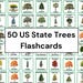 50 US State Tree Flashcards | Learn the Trees of the United States of ...