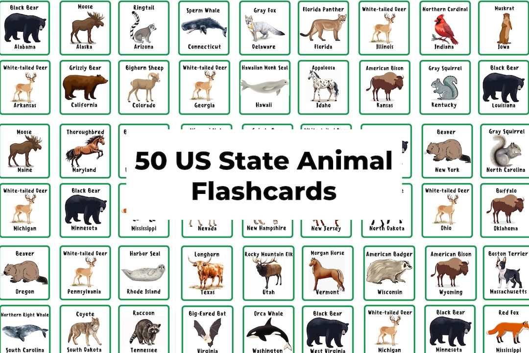 50 US State Animal Flashcards | Learn the Animals of the United States ...
