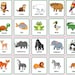 Zoo Animals Sight Word Flashcards | Kindergarten, Elementary School ...