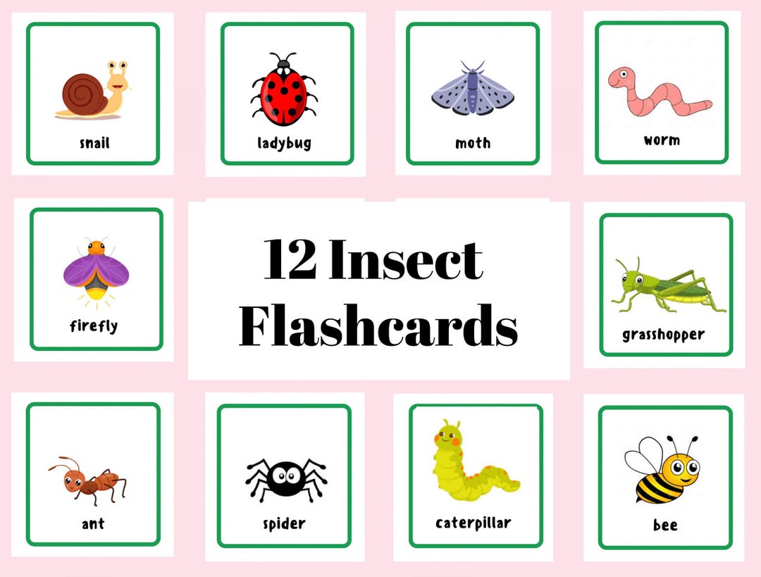Insect Sight Word Flashcards Pre-k, Kindergarten, Elementary School ...