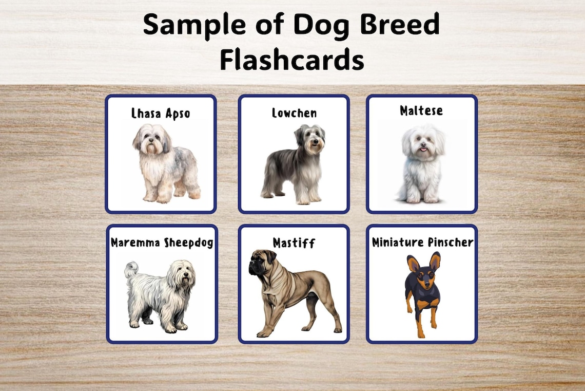 120+ Dog Breed Flashcards | Learn the Dog Breeds of the World | Dog Fun ...
