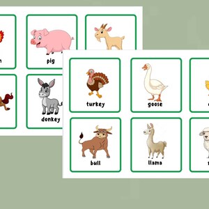 Farm Animals Sight Word Flashcards Kindergarten, Elementary School ...