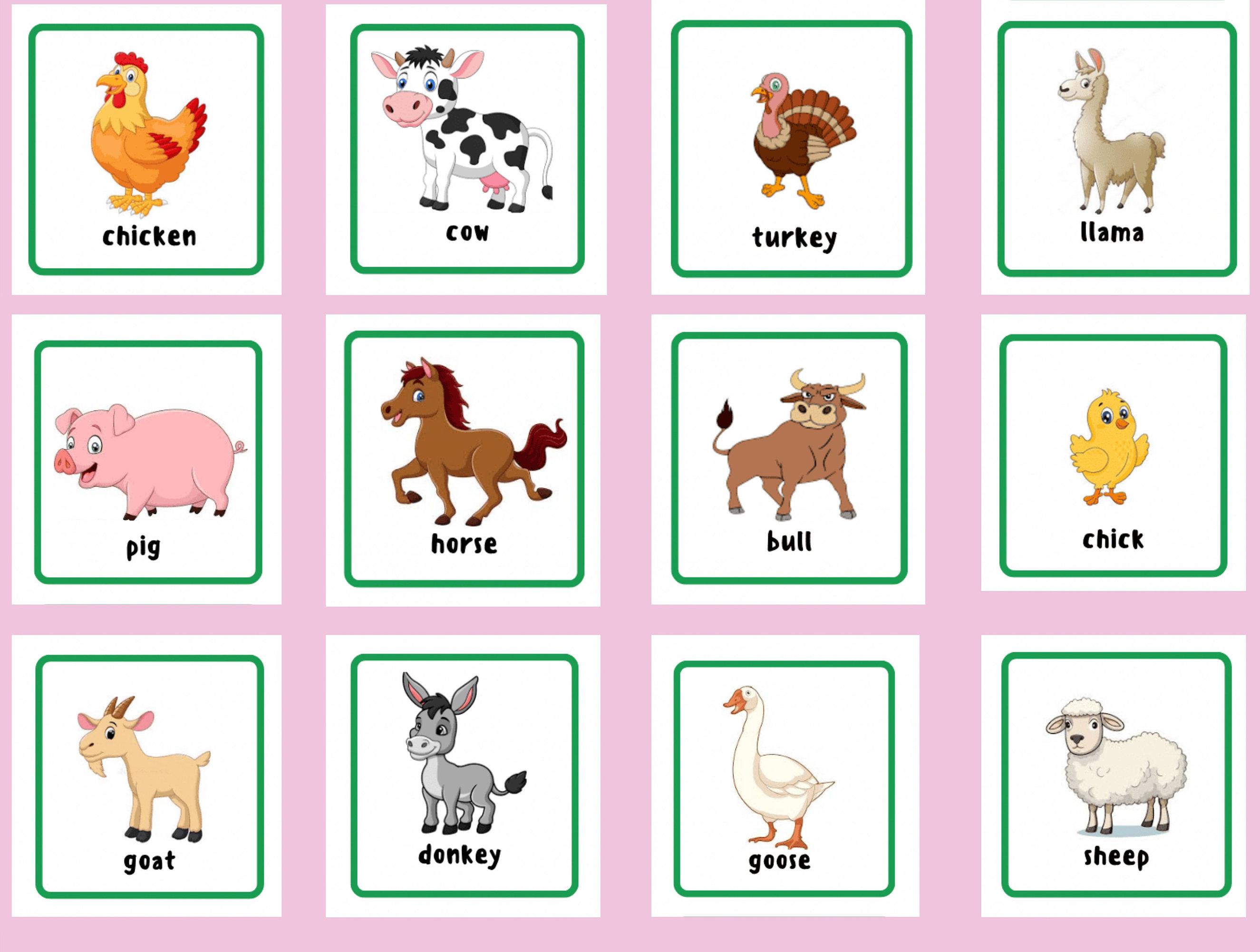 Farm Animals Sight Word Flashcards Kindergarten, Elementary School ...