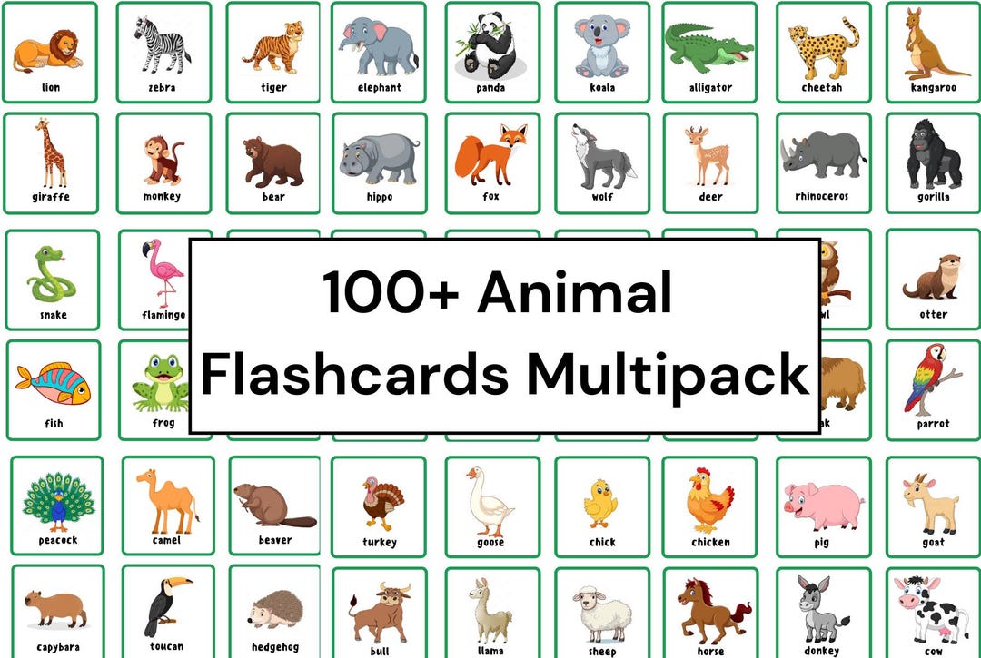 Animal Sight Word Flashcards: 100+ Learning Cards (digital Download) - Etsy