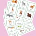 Zoo Animals Sight Word Flashcards | Kindergarten, Elementary School ...