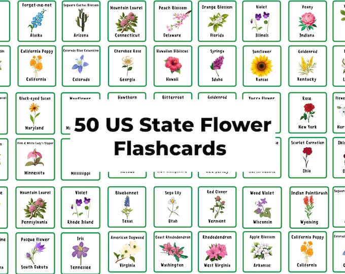 50 US State Flower Flashcards | Learn the Flowers of the United States ...