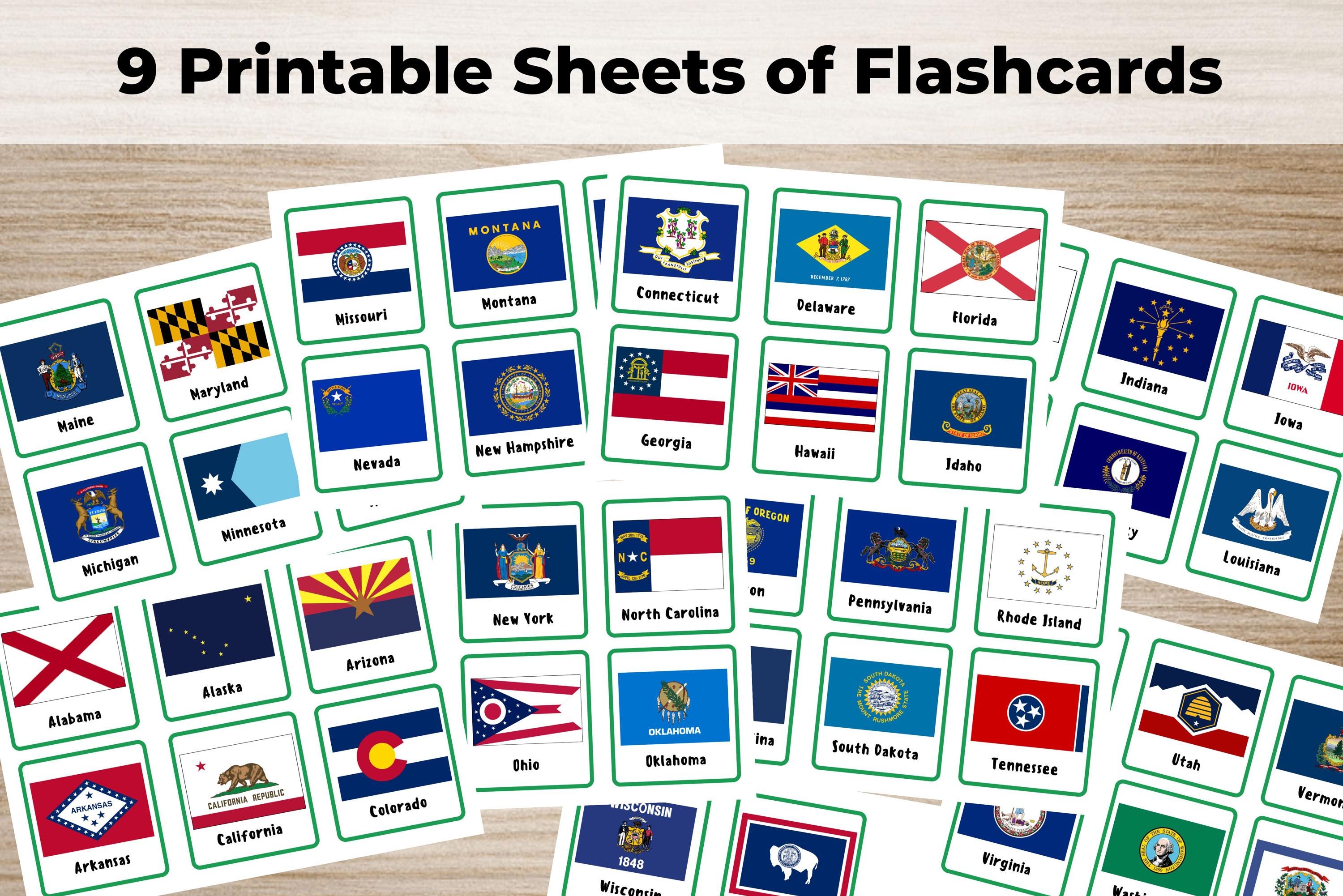 50 US State Flag Flashcards | Learn the National Flags of the United ...