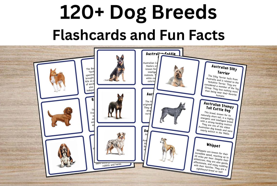 Dog Fun Fact Flashcards | Learn 120+ Different Dog Breeds | Dog Fun ...