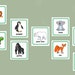 Zoo Animals Sight Word Flashcards | Kindergarten, Elementary School ...