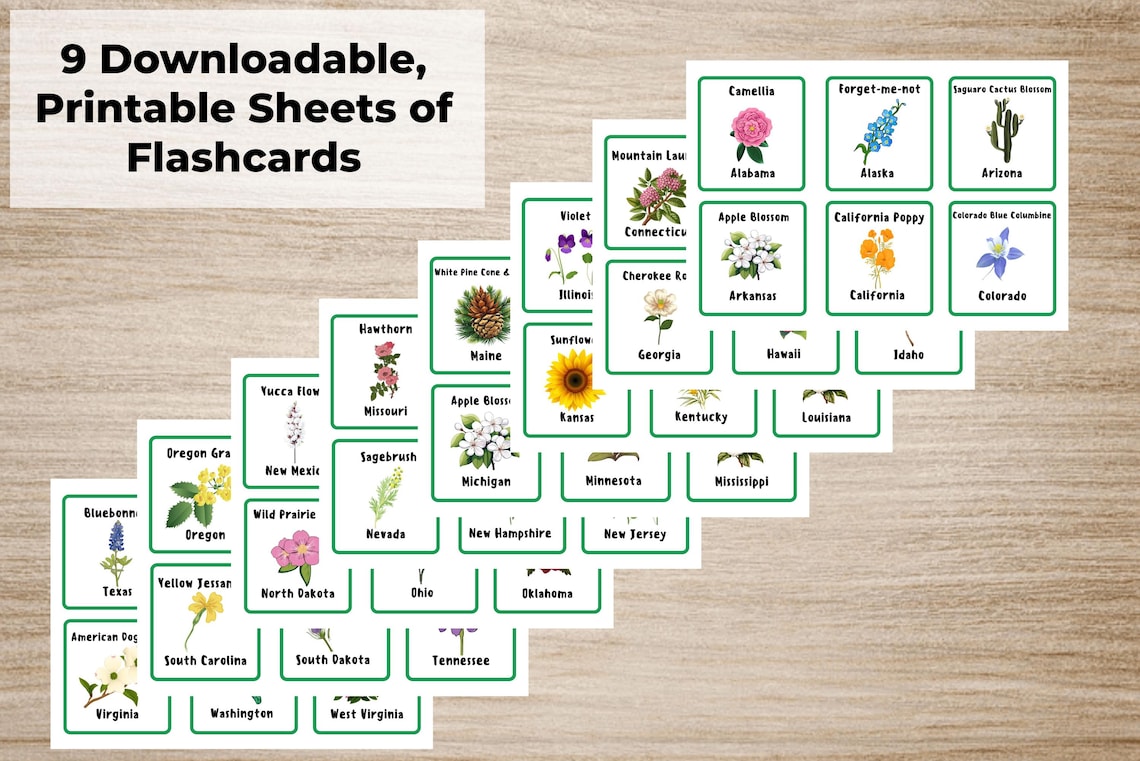 50 US State Flower Flashcards | Learn the Flowers of the United States ...