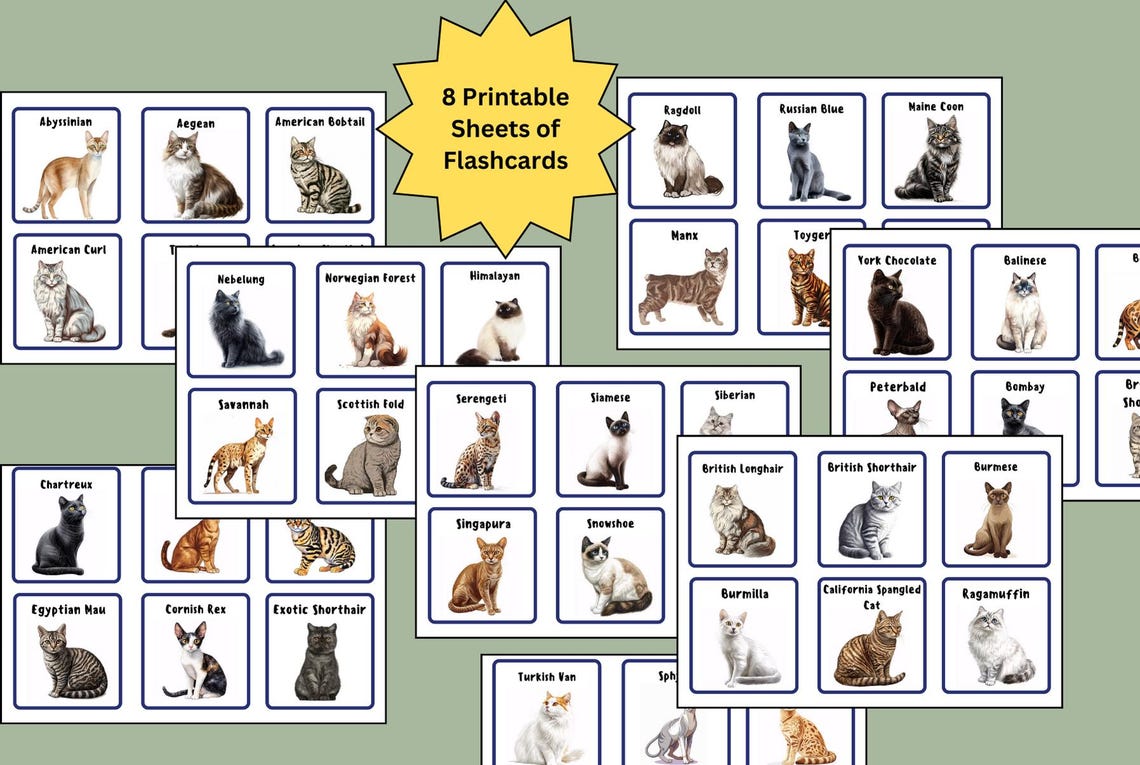 Cat Breed Flashcards | 45 Different Cat Breeds to Learn About | Cat Fun ...