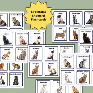 Cat Breed Flashcards | 45 Different Cat Breeds to Learn About | Cat Fun ...