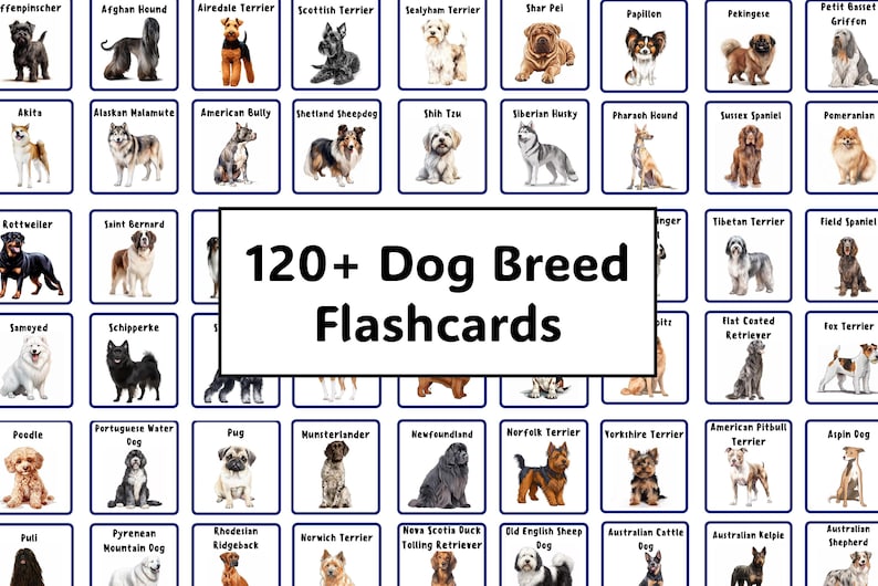 120+ Dog Breed Flashcards | Learn the Dog Breeds of the World | Dog Fun ...
