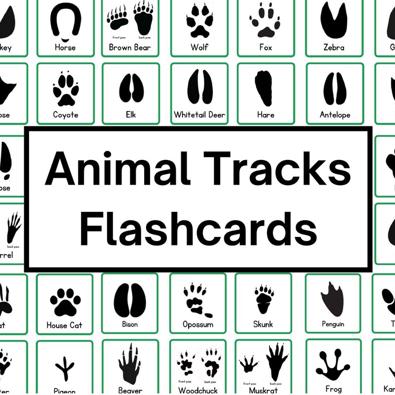 Animal Tracks - Etsy